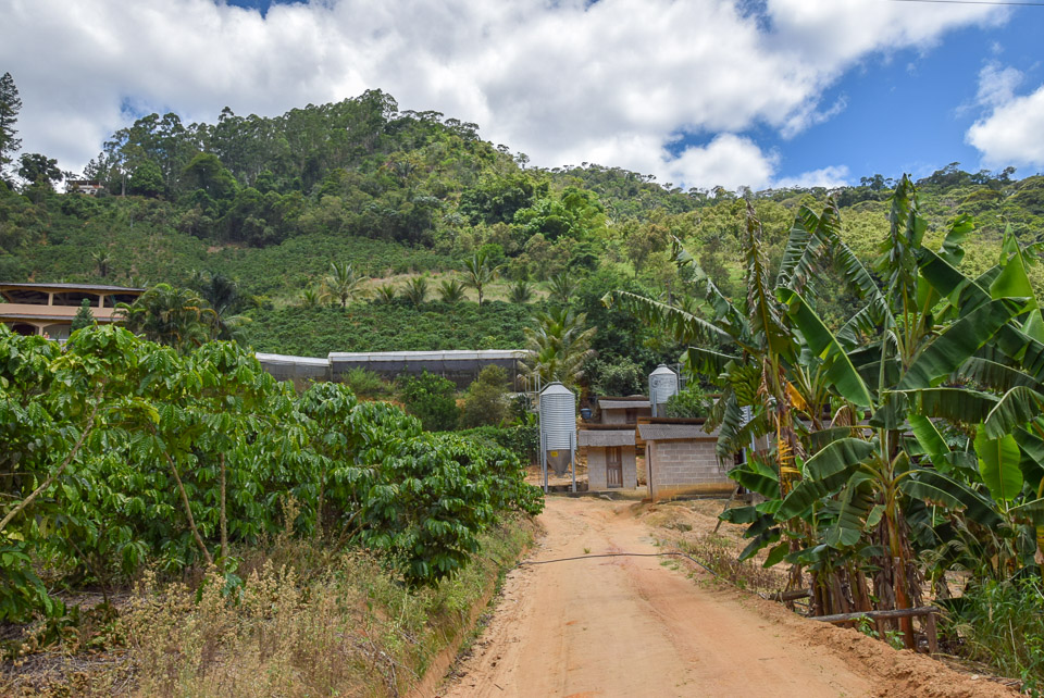 Gilso Hoffmann | Liva Ovos